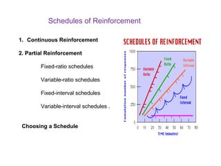 Skinner operant conditioning | PPT
