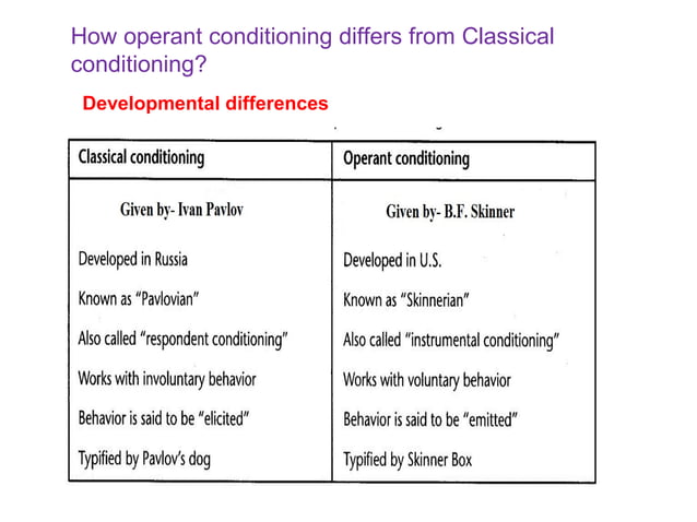Skinner operant conditioning | PPT