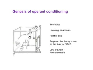 Skinner operant conditioning | PPT