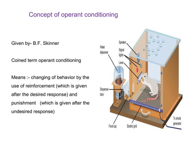 Skinner operant conditioning | PPT