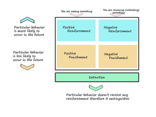 Skinner operant conditioning | PPT