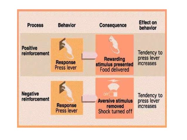 Skinner operant conditioning | PPT | Free Download