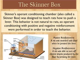 Operant Conditioning : Behavioral theory (B.F.SKINNER THEORY) | PPTX