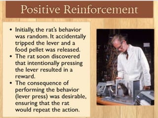Operant Conditioning : Behavioral theory (B.F.SKINNER THEORY) | PPTX