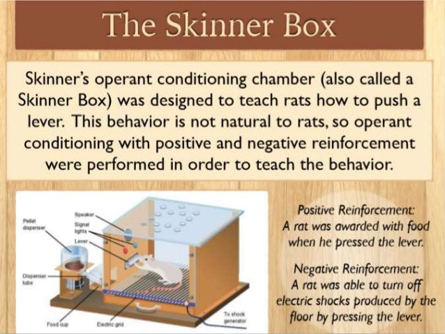 Operant Conditioning : Behavioral theory (B.F.SKINNER THEORY)