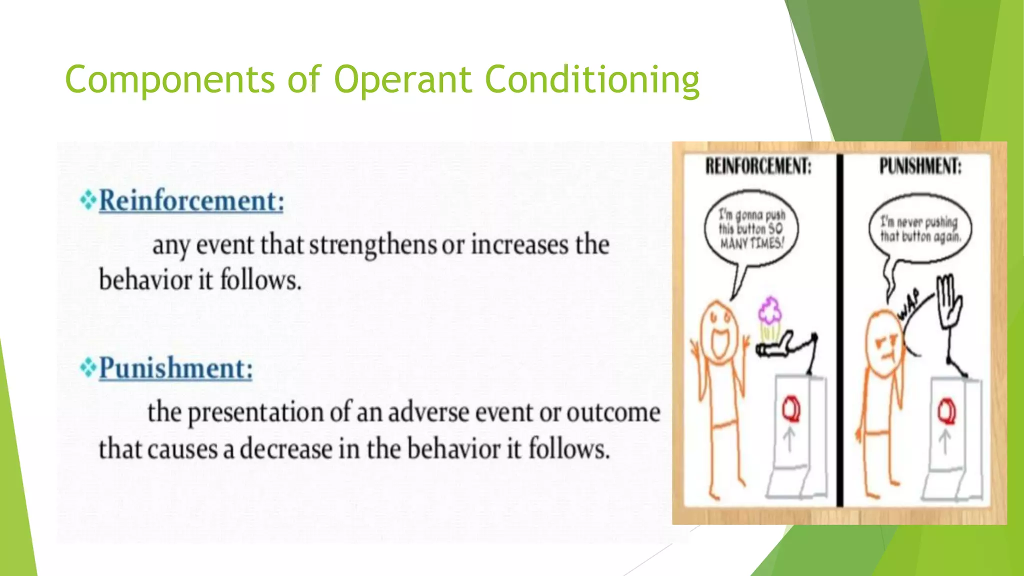 Skinner's Operant Conditioning Theory | PPTX