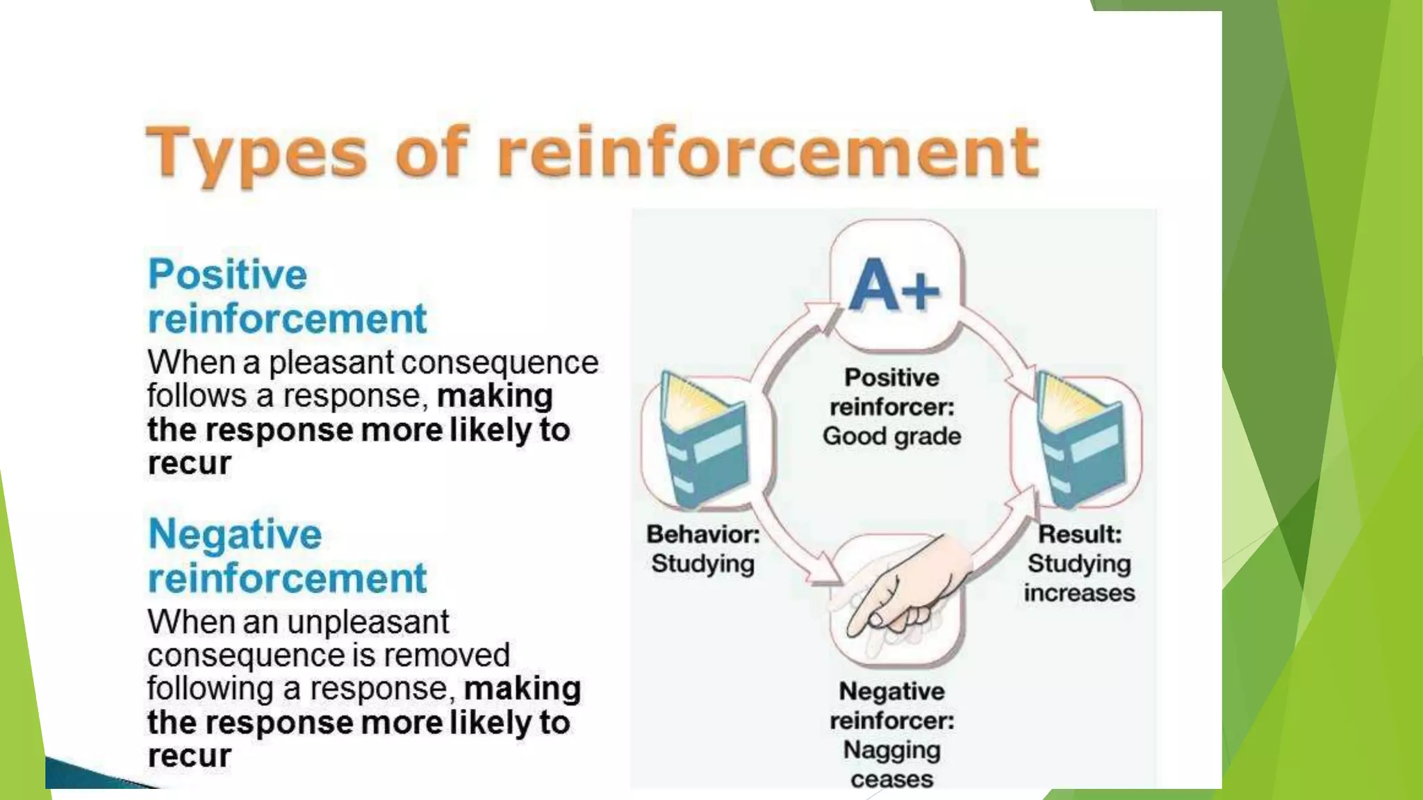 Skinner's Operant Conditioning Theory | PPTX
