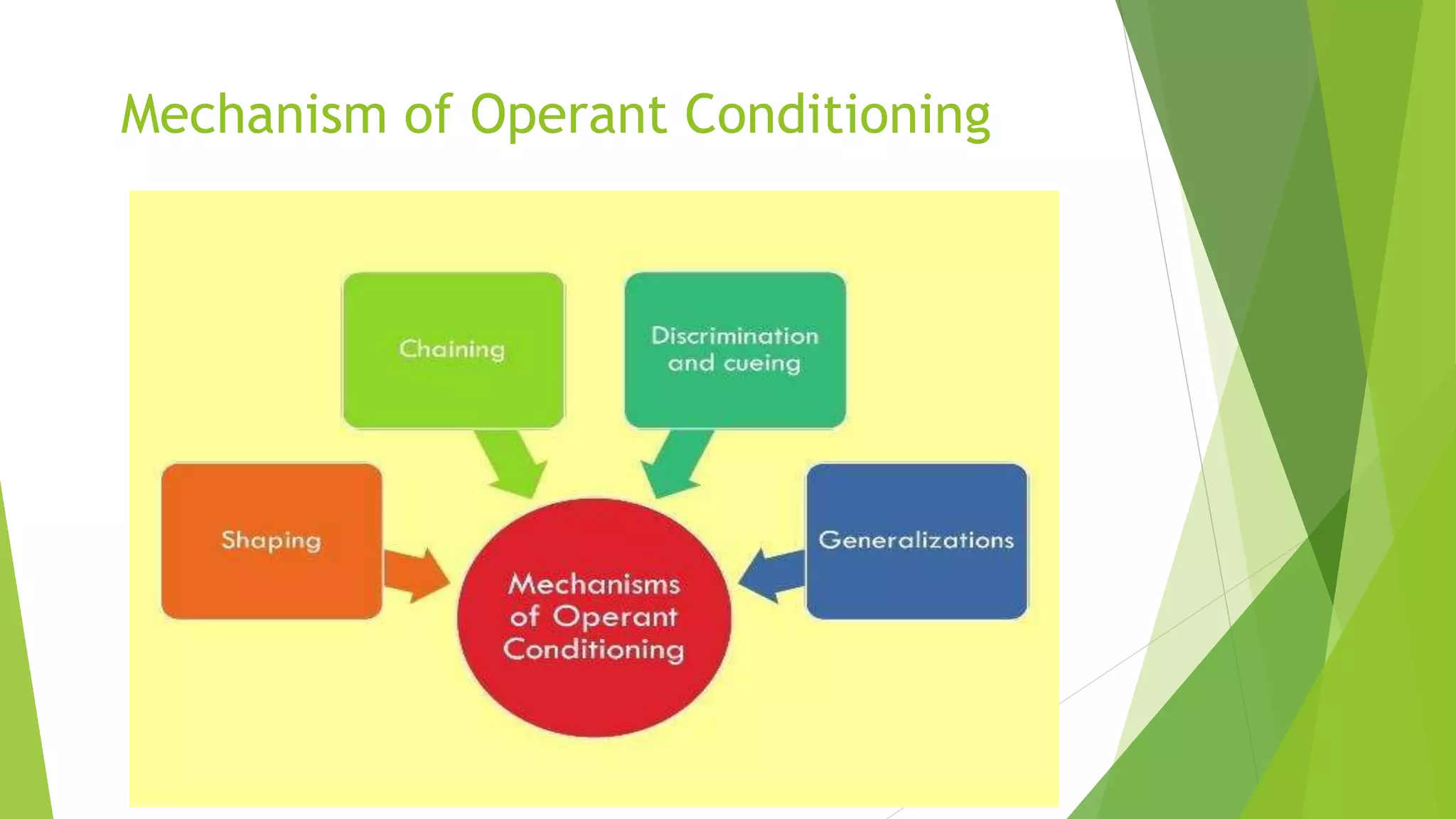 Skinner's Operant Conditioning Theory | PPTX