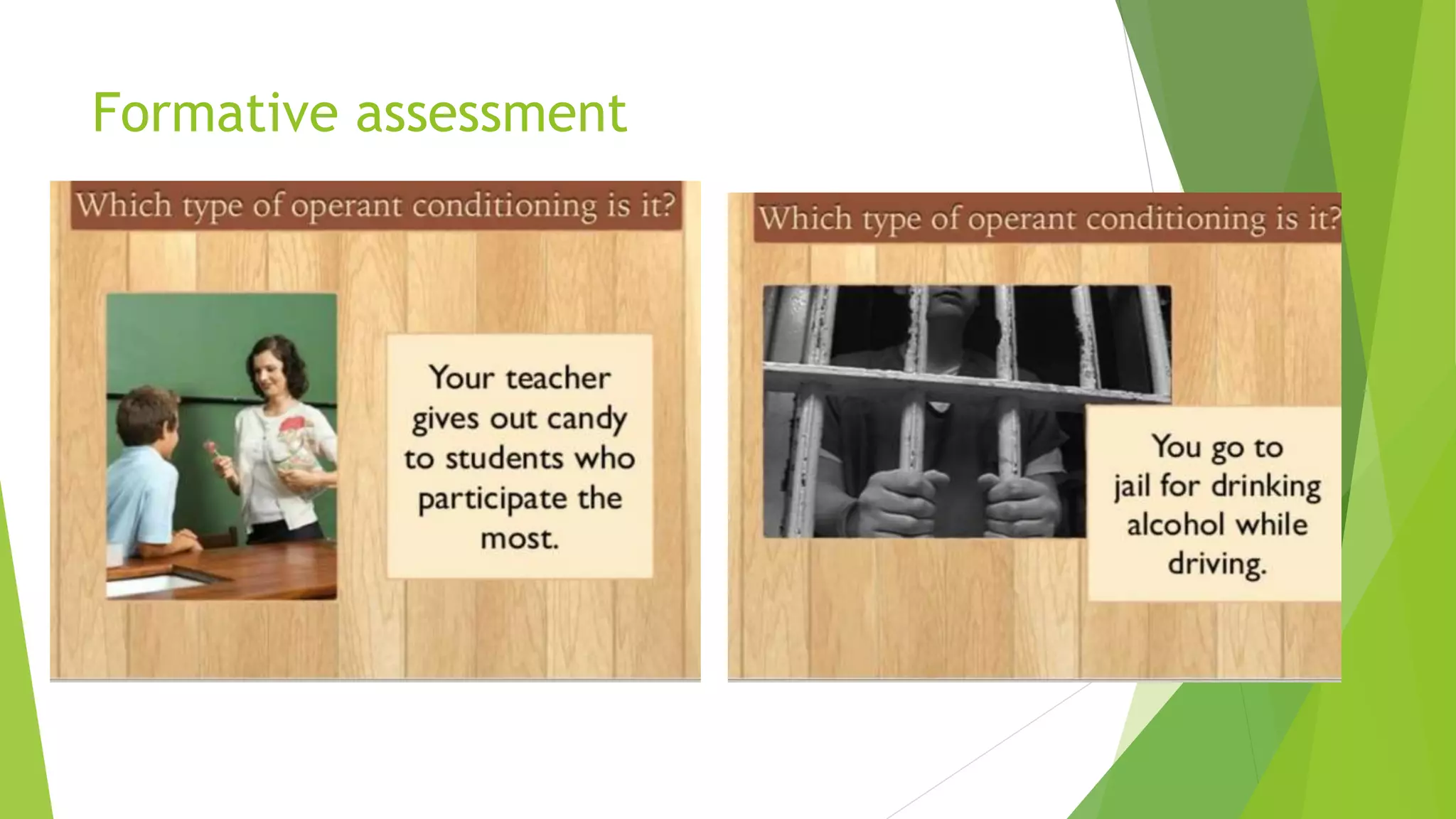 Skinner's Operant Conditioning Theory | PPTX