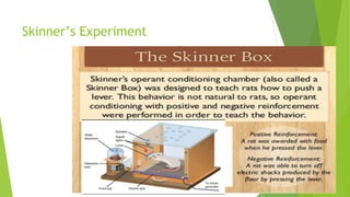 Skinner's Operant Conditioning Theory | PPTX