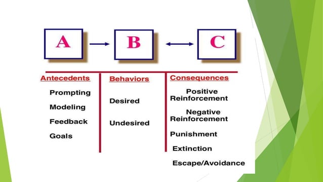 Skinner's Operant Conditioning Theory | PPTX | Biological Sciences ...