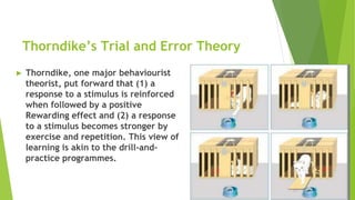 Skinner's Operant Conditioning Theory | PPTX