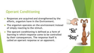 Skinner's Operant Conditioning Theory | PPTX