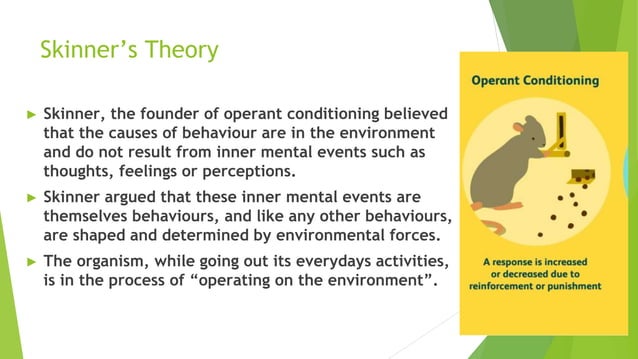 Skinner's Operant Conditioning Theory | PPTX | Biological Sciences | Science