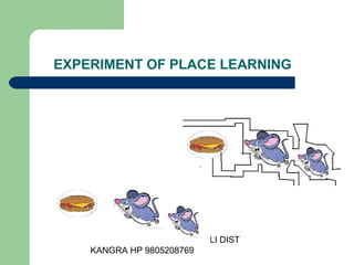 Tolman Learning Place