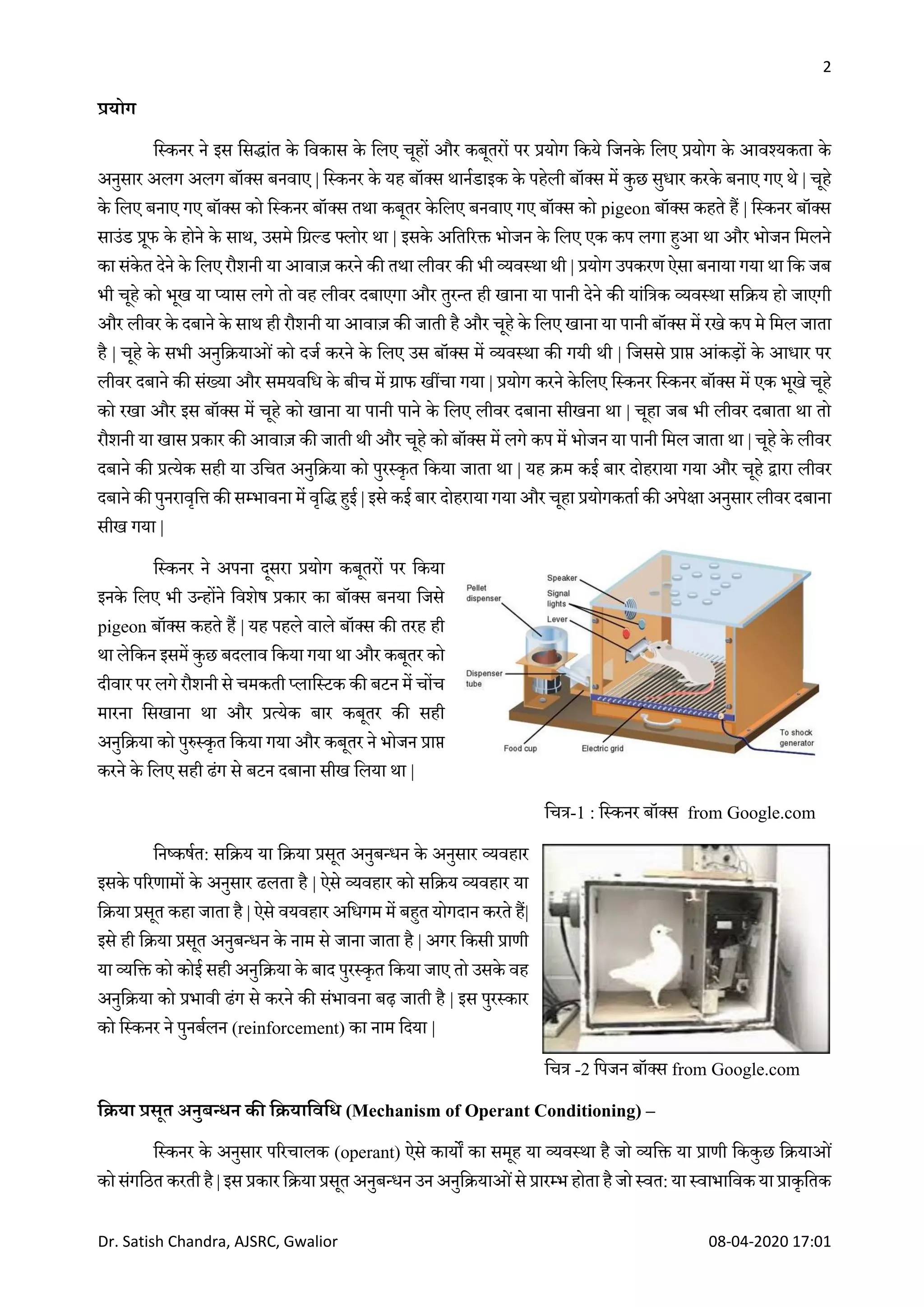 Skinner theory | PDF