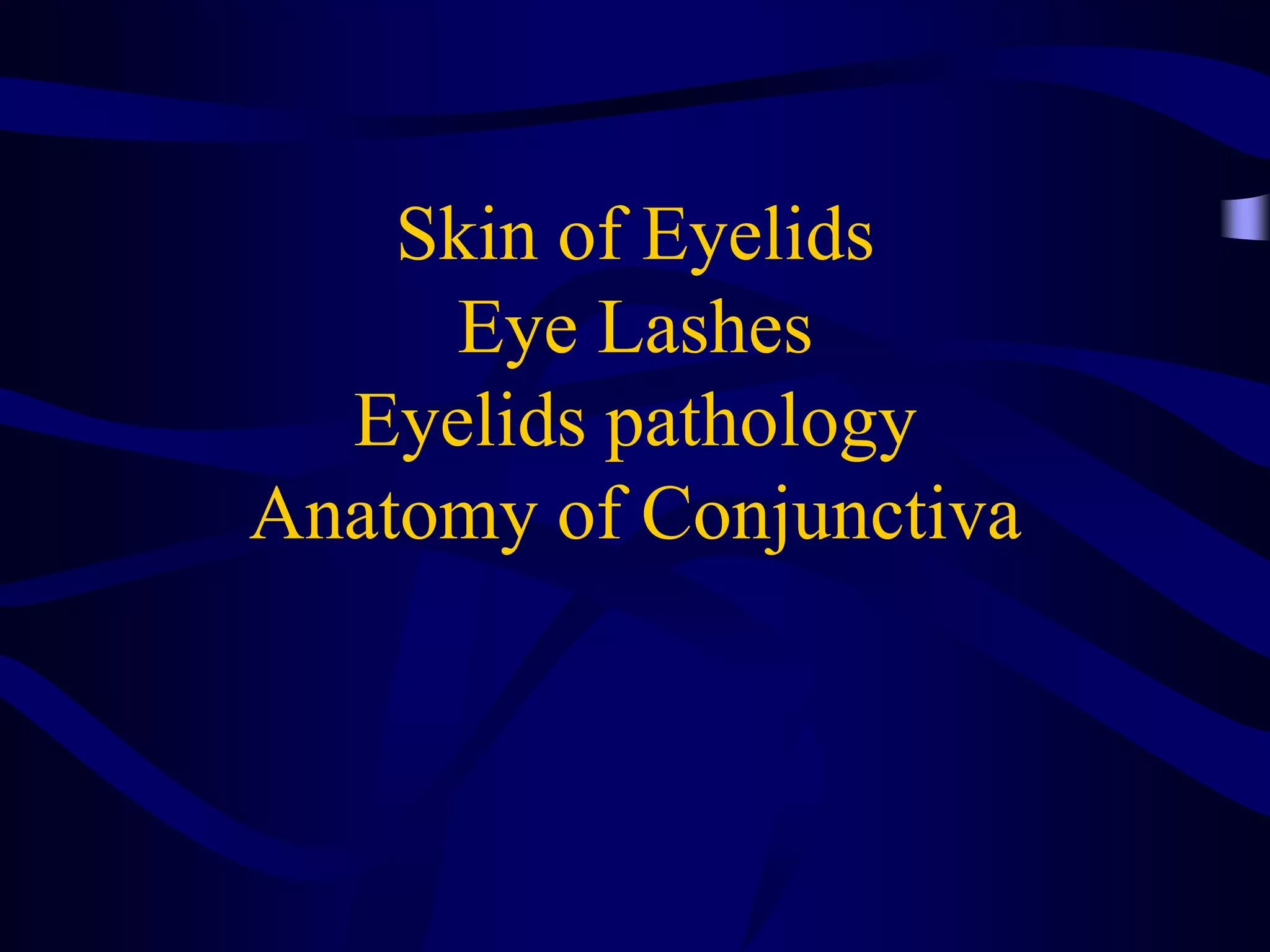 Layers of skin of the Eye Lids, Eye Lashes, Eye Lid Pathology, Anatomy ...
