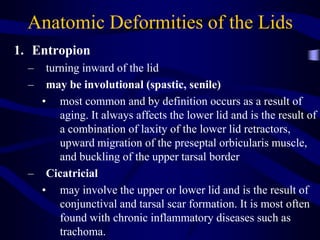 Layers of skin of the Eye Lids, Eye Lashes, Eye Lid Pathology, Anatomy ...