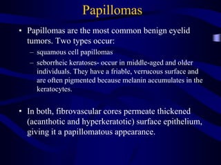 Layers of skin of the Eye Lids, Eye Lashes, Eye Lid Pathology, Anatomy ...
