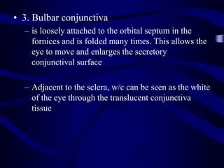 Layers of skin of the Eye Lids, Eye Lashes, Eye Lid Pathology, Anatomy ...