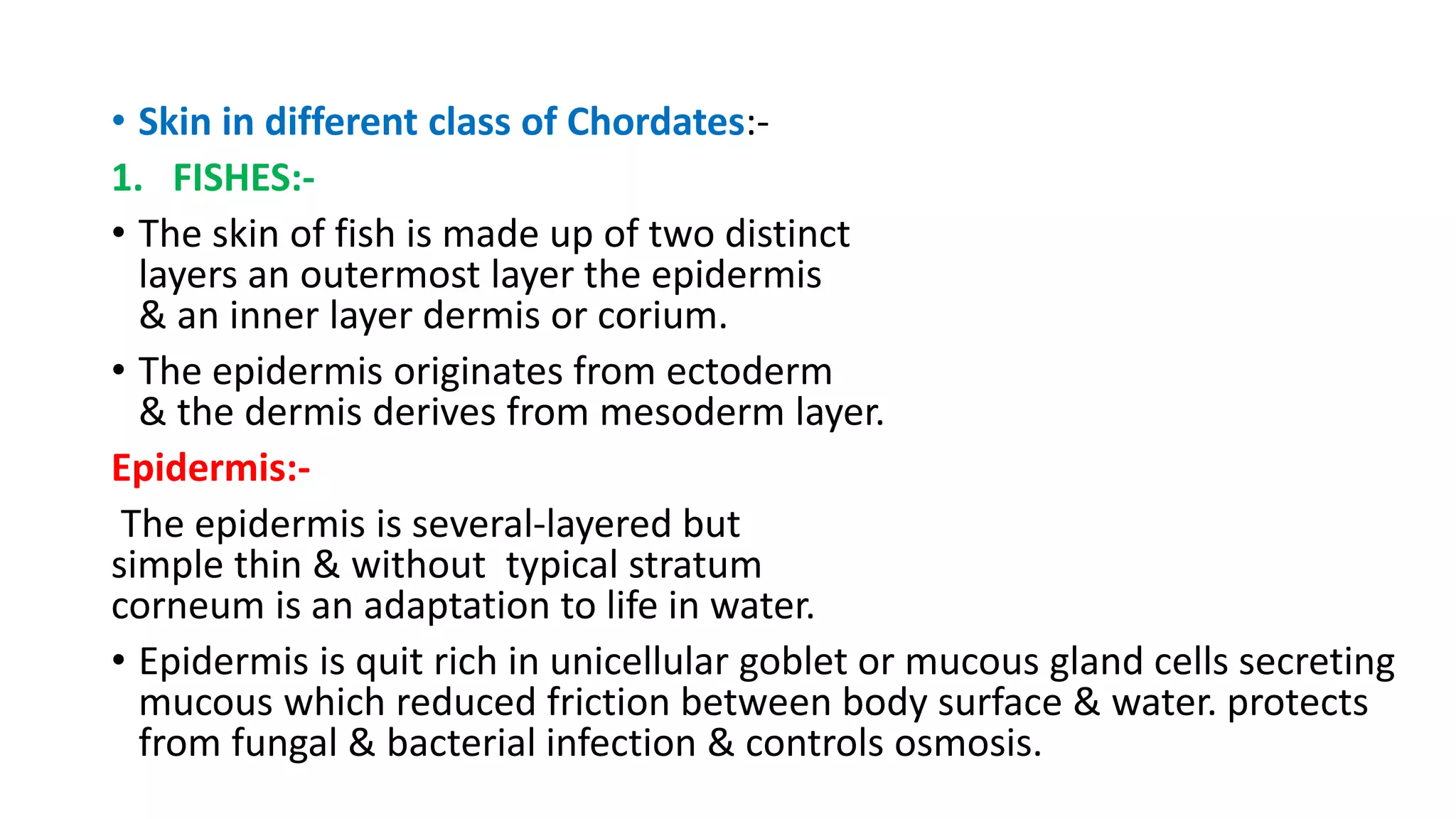 SKIN OF VERTEBRATES (GIRJA PD.PATEL)..pptx