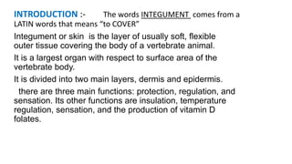 SKIN OF VERTEBRATES (GIRJA PD.PATEL)..pptx
