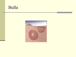 Skin pathology | PPT