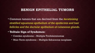 Skin pathology ( dermatological lesions) | PPTX