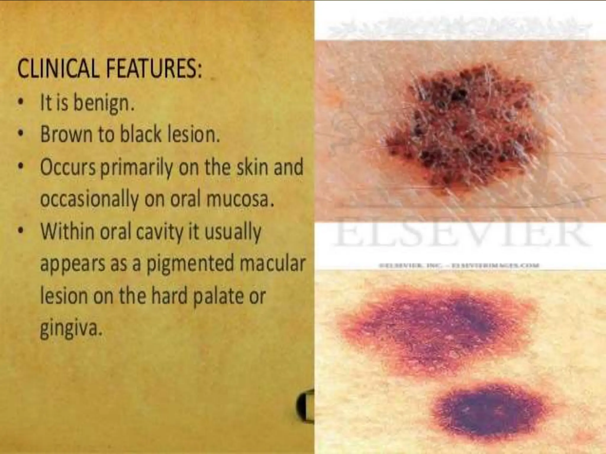 Pathology of the skin skin pathology skin | PPTX