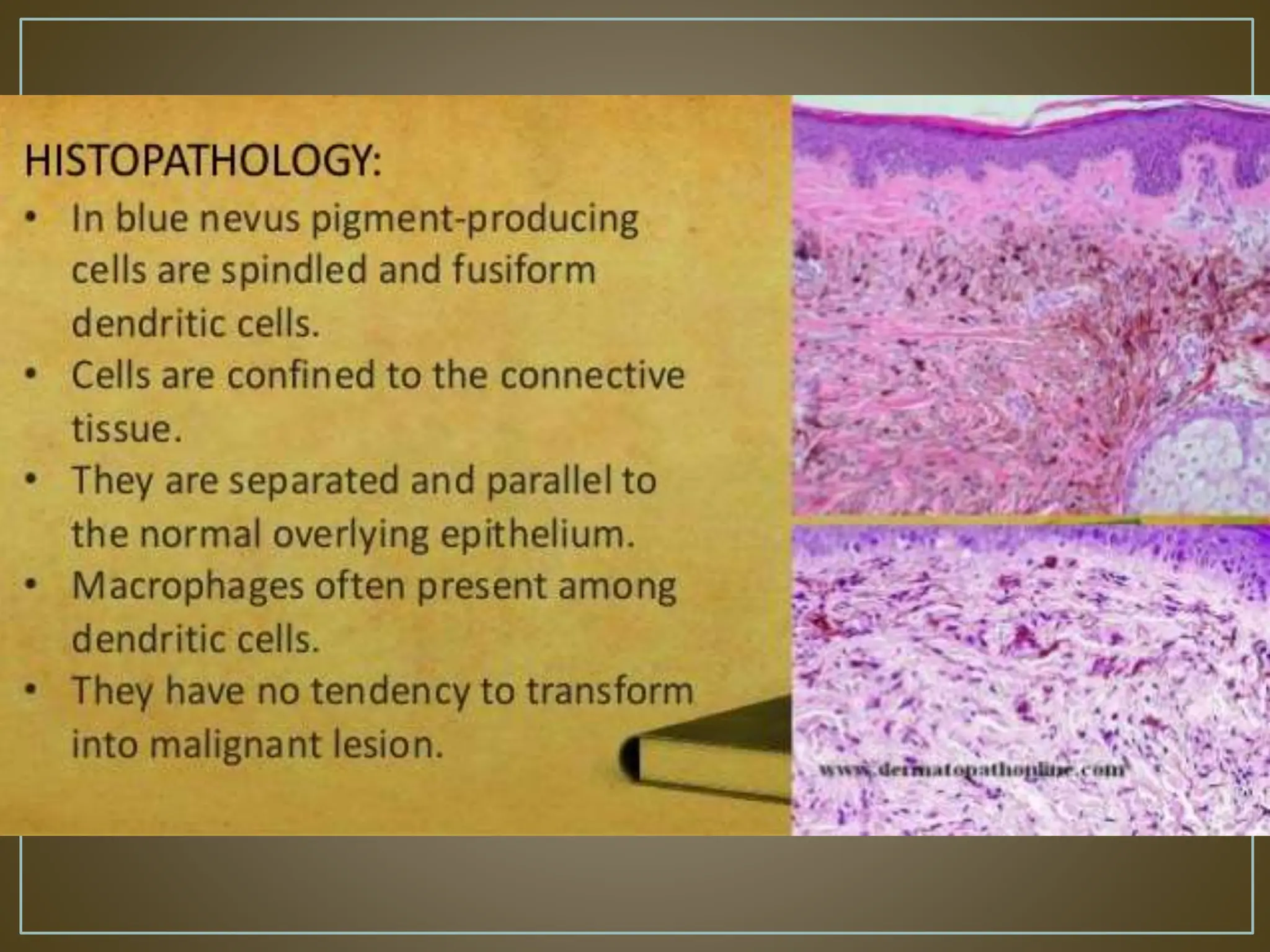Pathology of the skin skin pathology skin | PPTX