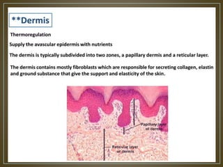 Pathology of the skin skin pathology skin | PPTX