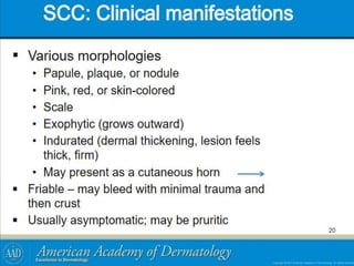 Pathology of the skin skin pathology skin | PPTX