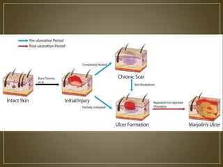 Pathology of the skin skin pathology skin | PPTX