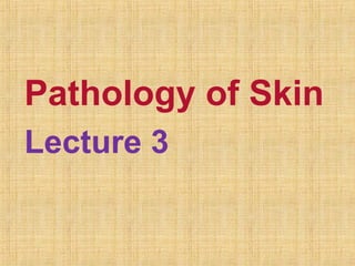 Skin Pathology (Disease of the Integumentary System) | PPT