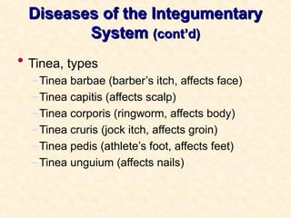 Skin Pathology (Disease of the Integumentary System) | PPT