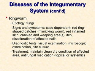 Skin Pathology (Disease of the Integumentary System) | PPT