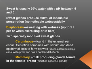 Skin physiology | PPT