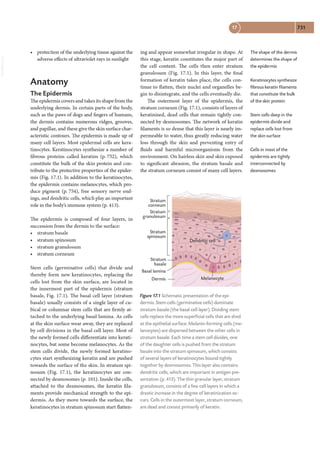 Chapter from a book about Skin Physiology | PDF