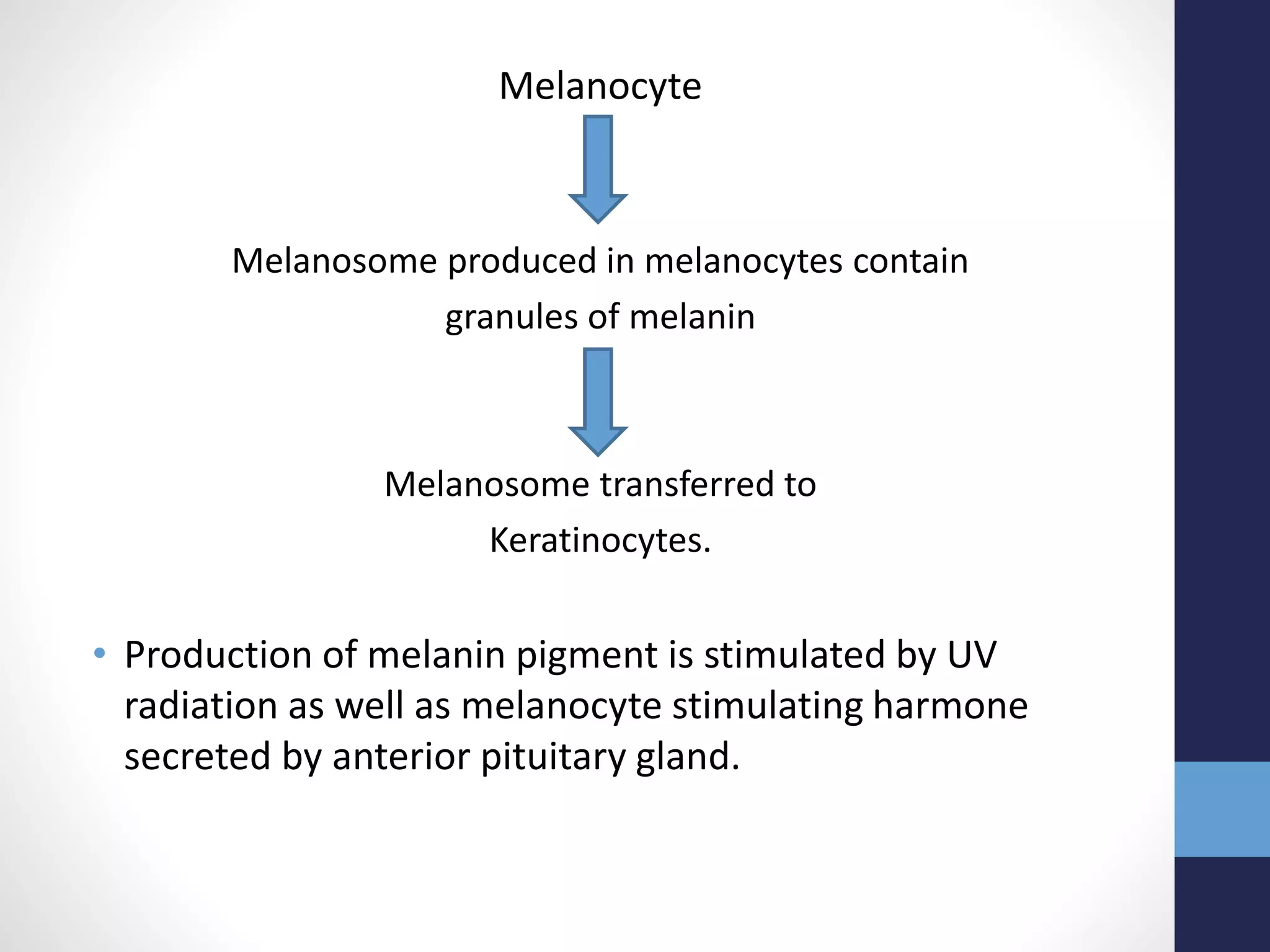 Skin pigmentation | PPTX