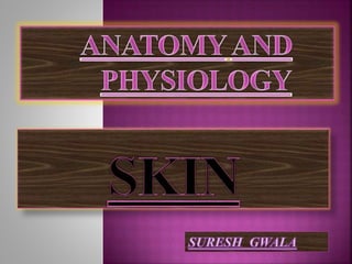 skin.pptx , layer of skin.pptx, structure of skin.pptx