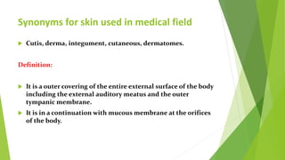 Skin structures and functions ppt Dr.Mumux | PPTX