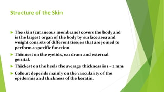 Skin structures and functions ppt Dr.Mumux | PPTX