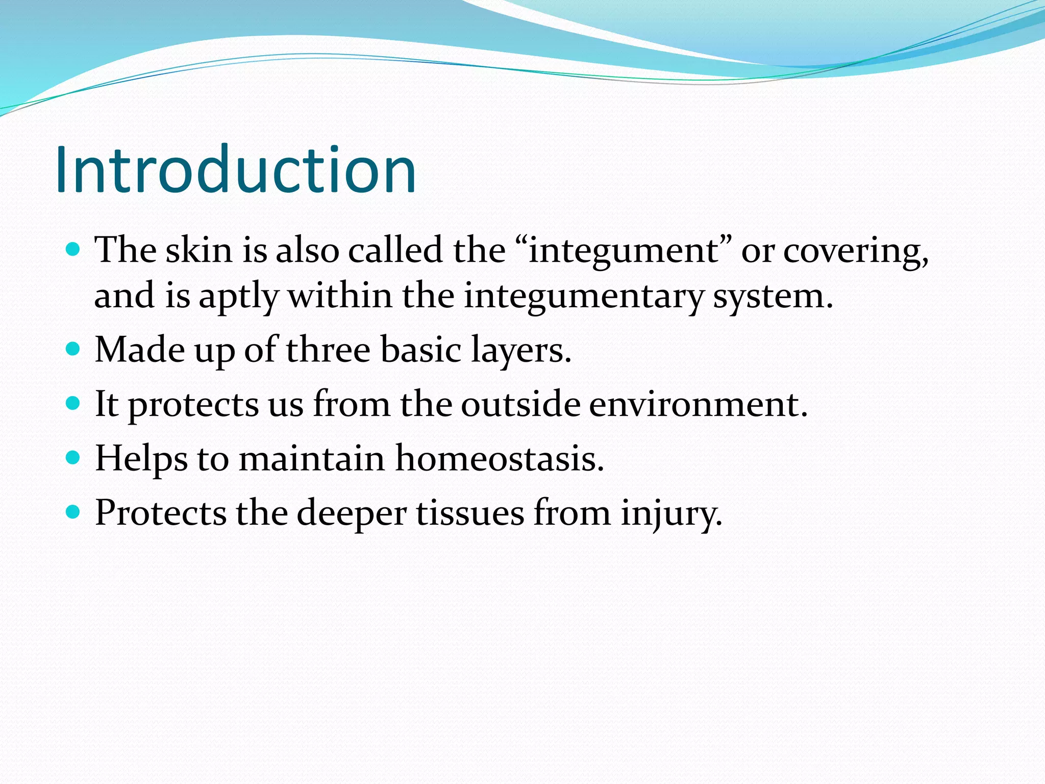 Skinpresentation | PPTX