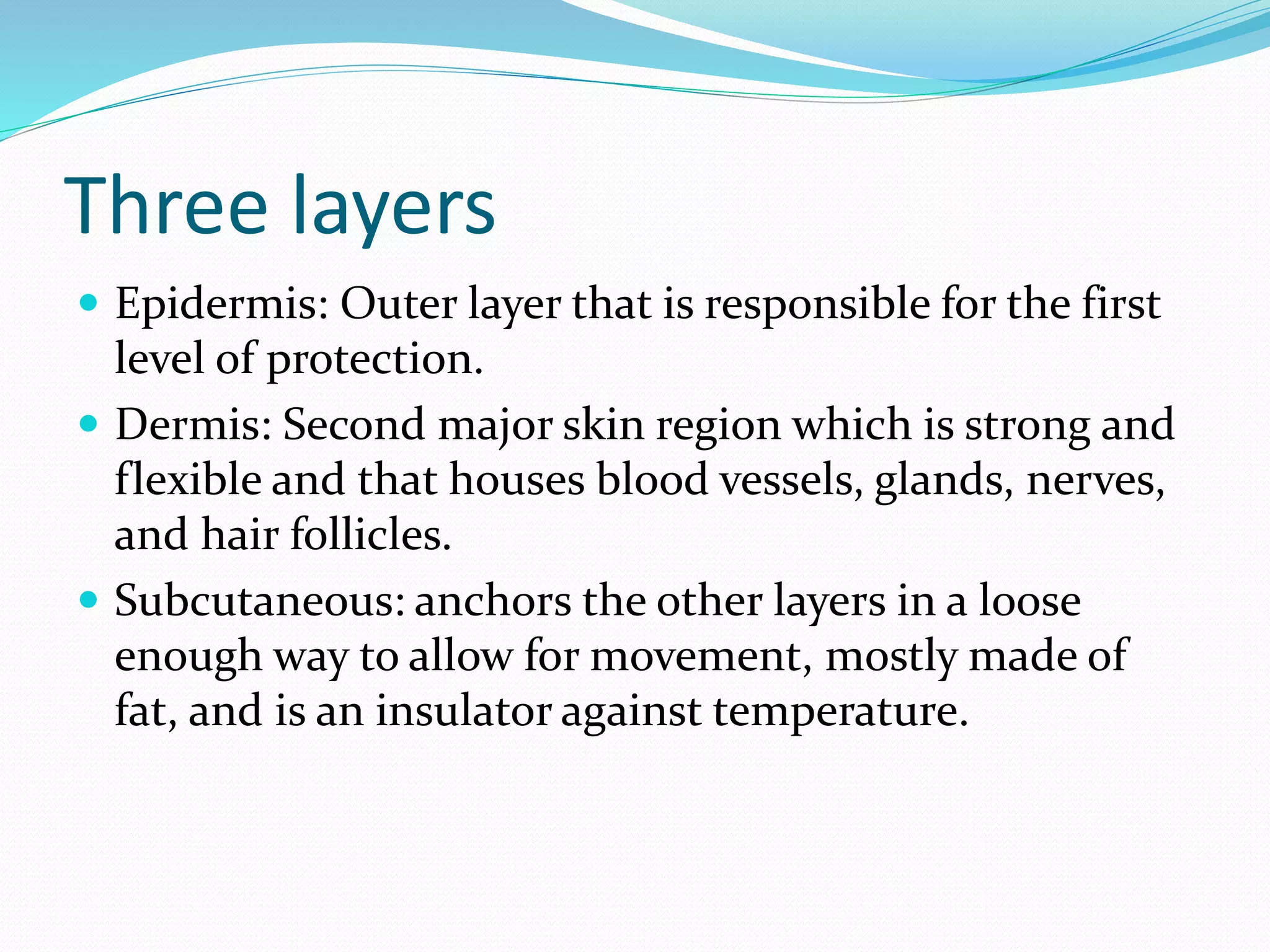 Skinpresentation | PPTX