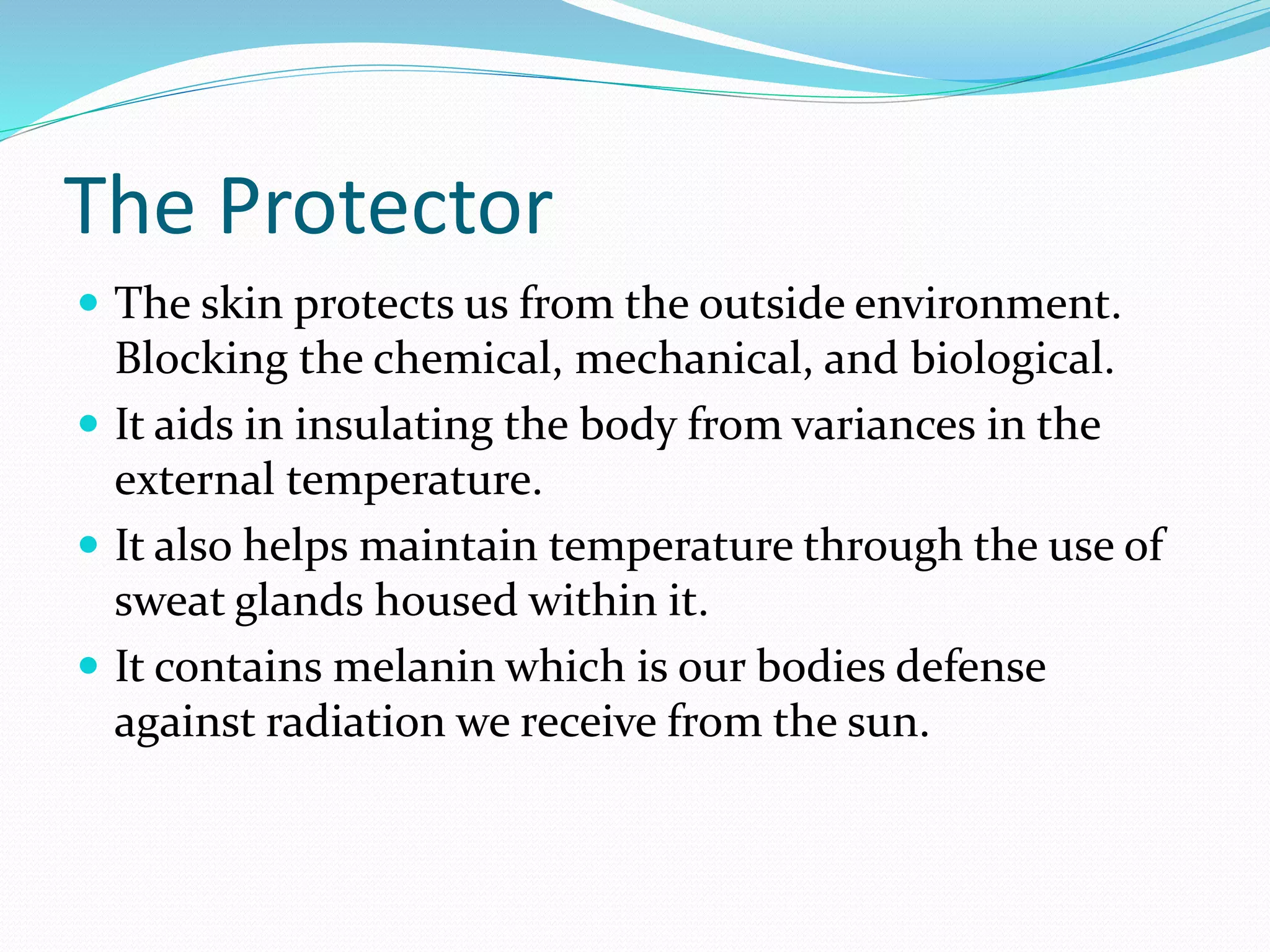 Skinpresentation | PPTX