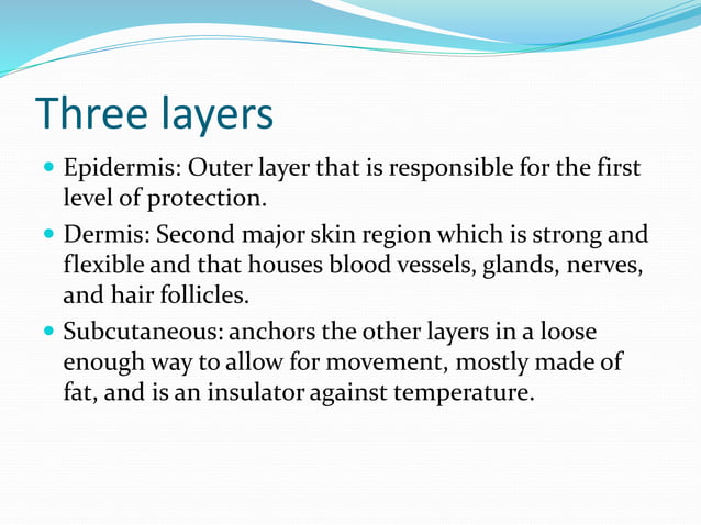 Skinpresentation | PPT