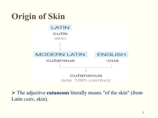 All about skin | PPTX