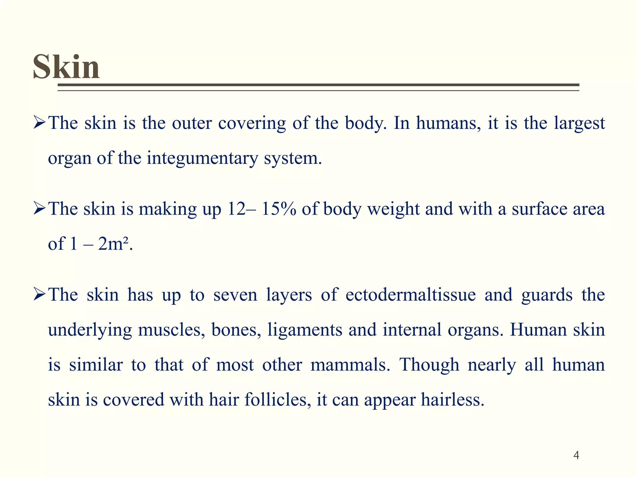 Skin presentation | PPTX