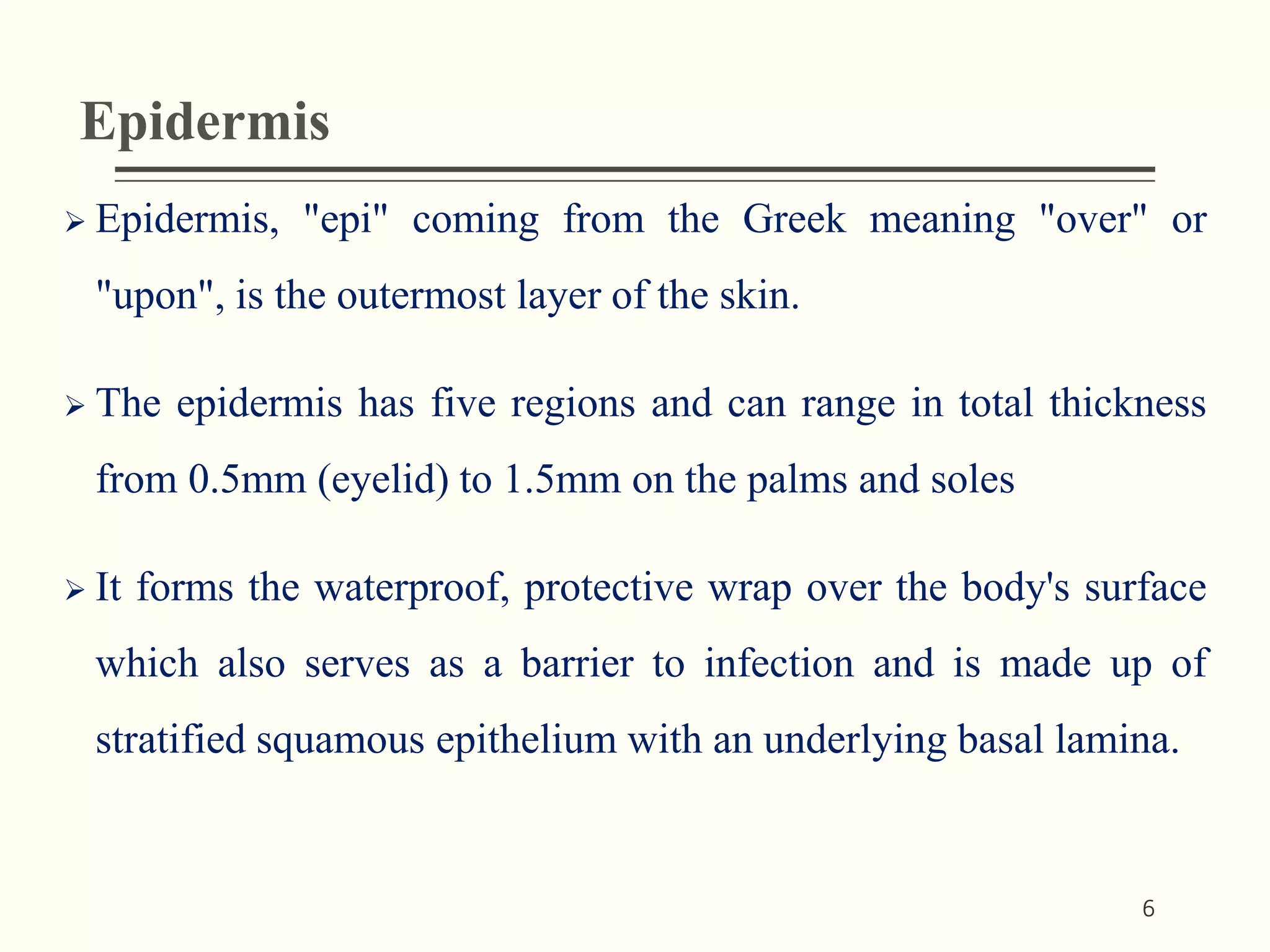 Skin presentation | PPTX