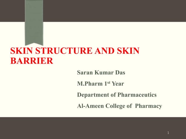 Skin presentation | PPTX